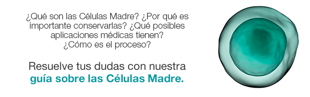 Guía informativa sobre las Células Madre - Bio-Cord, Banco de Células ...